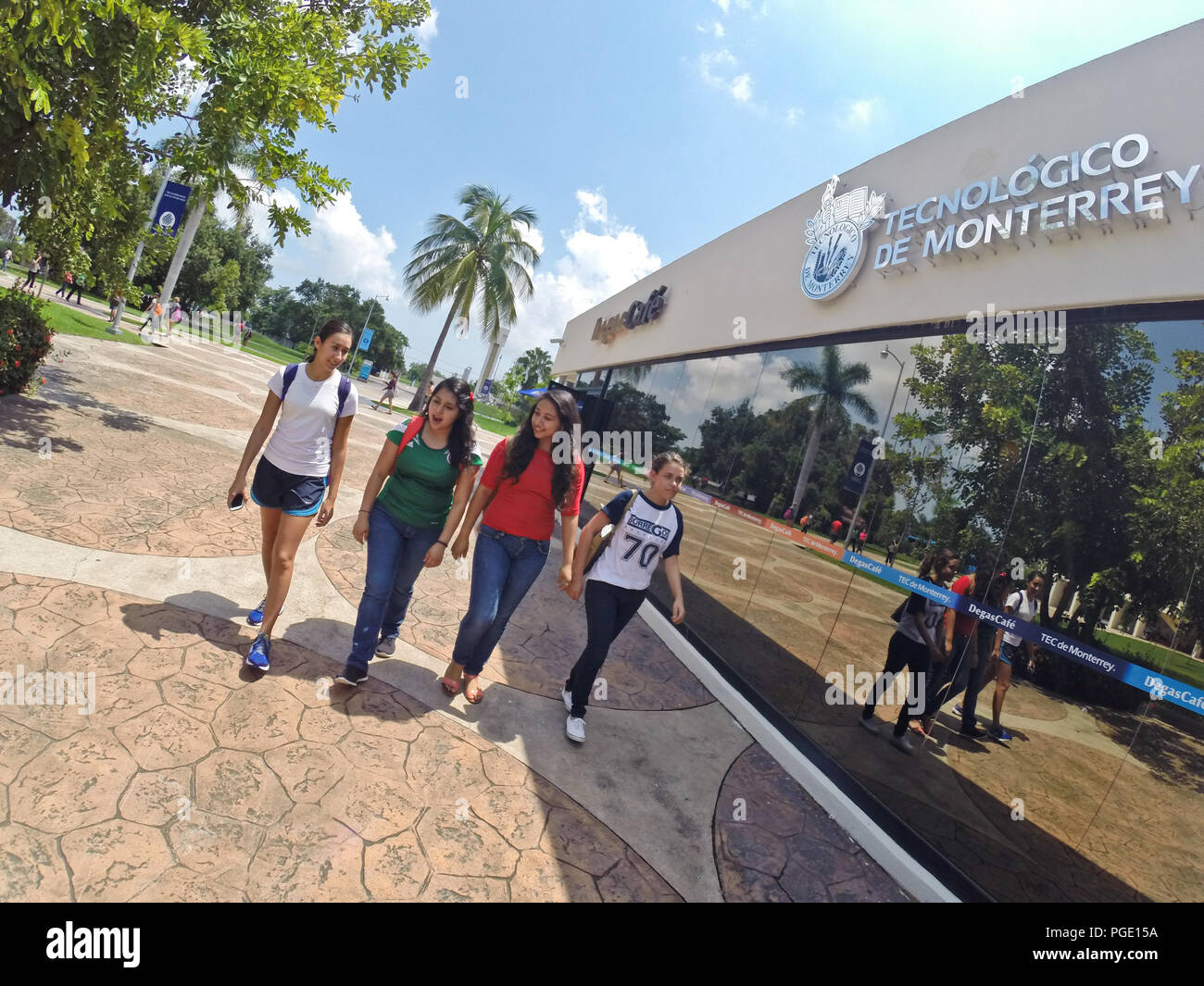Technological Institute and of Superior Studies of Monterrey. Tampico ...