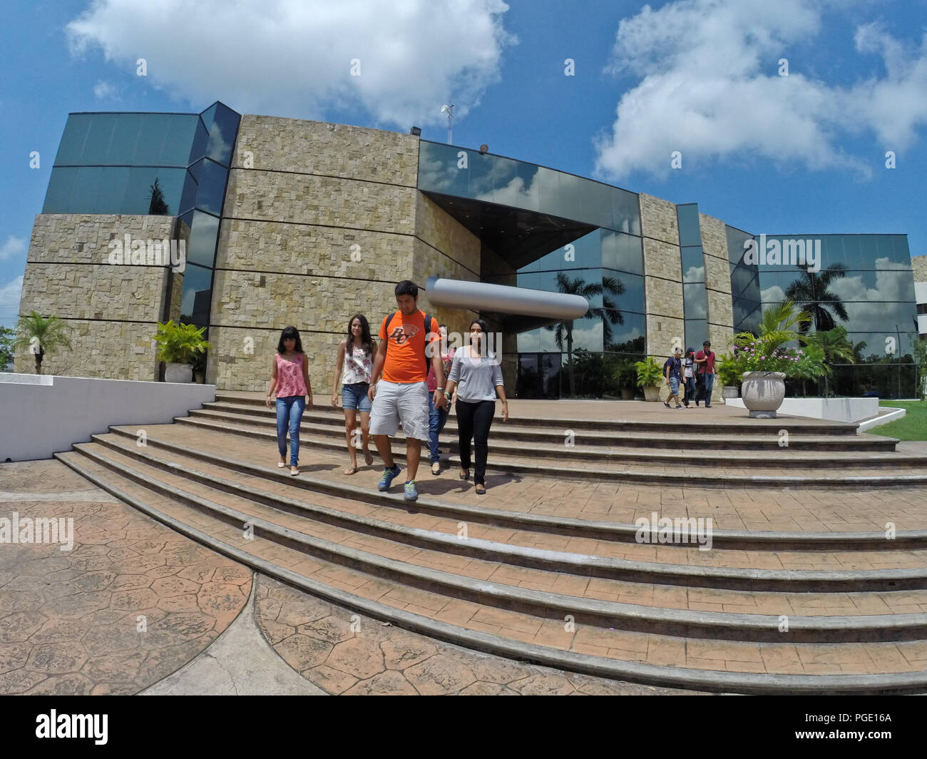 Technological Institute and of Superior Studies of Monterrey. Tampico ...