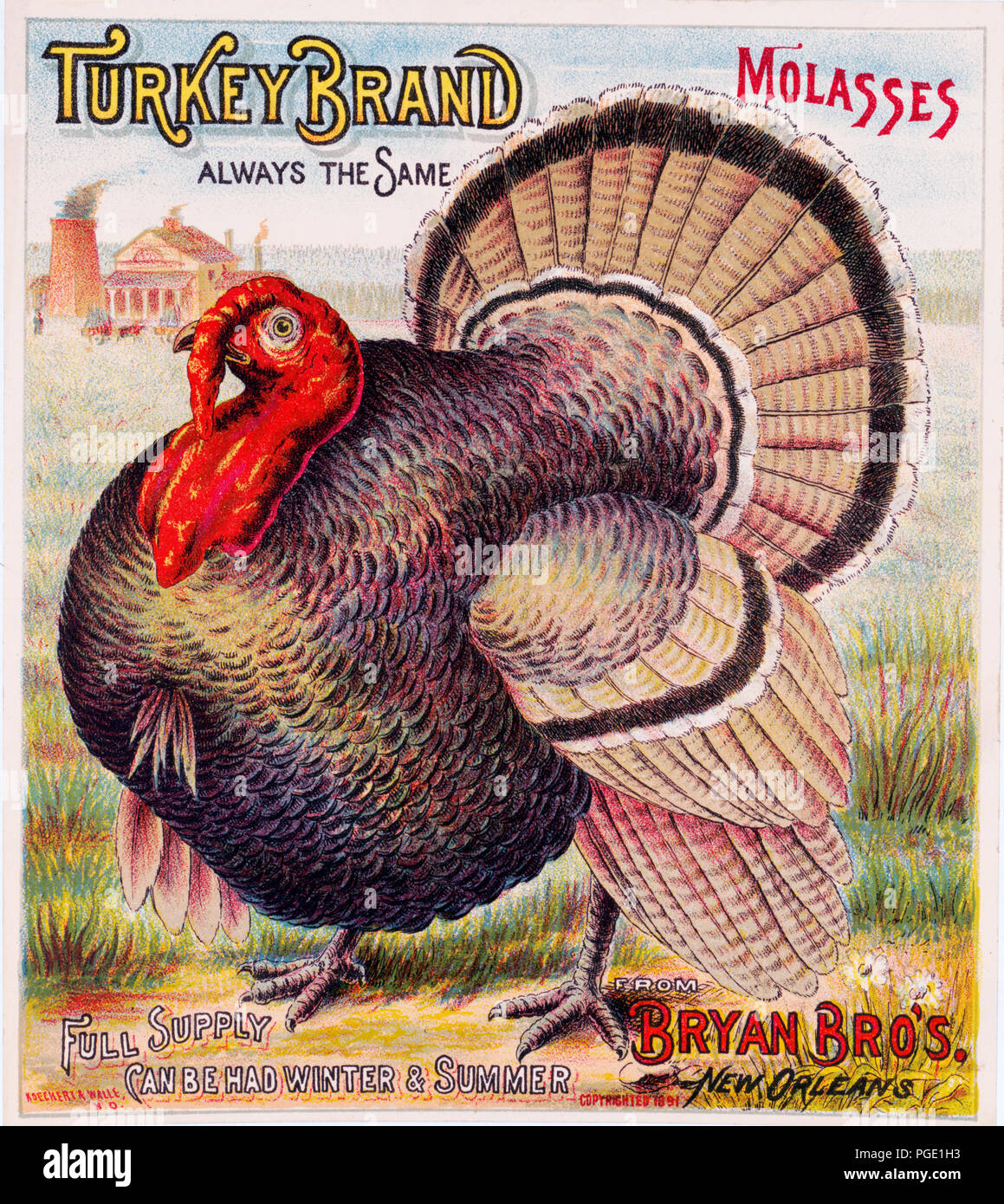 Turkey brand molasses. Bryan Bro's. New Orleans ca 1891 Stock Photo - Alamy