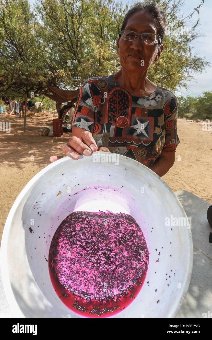 Seri tribe hi-res stock photography and images - Alamy