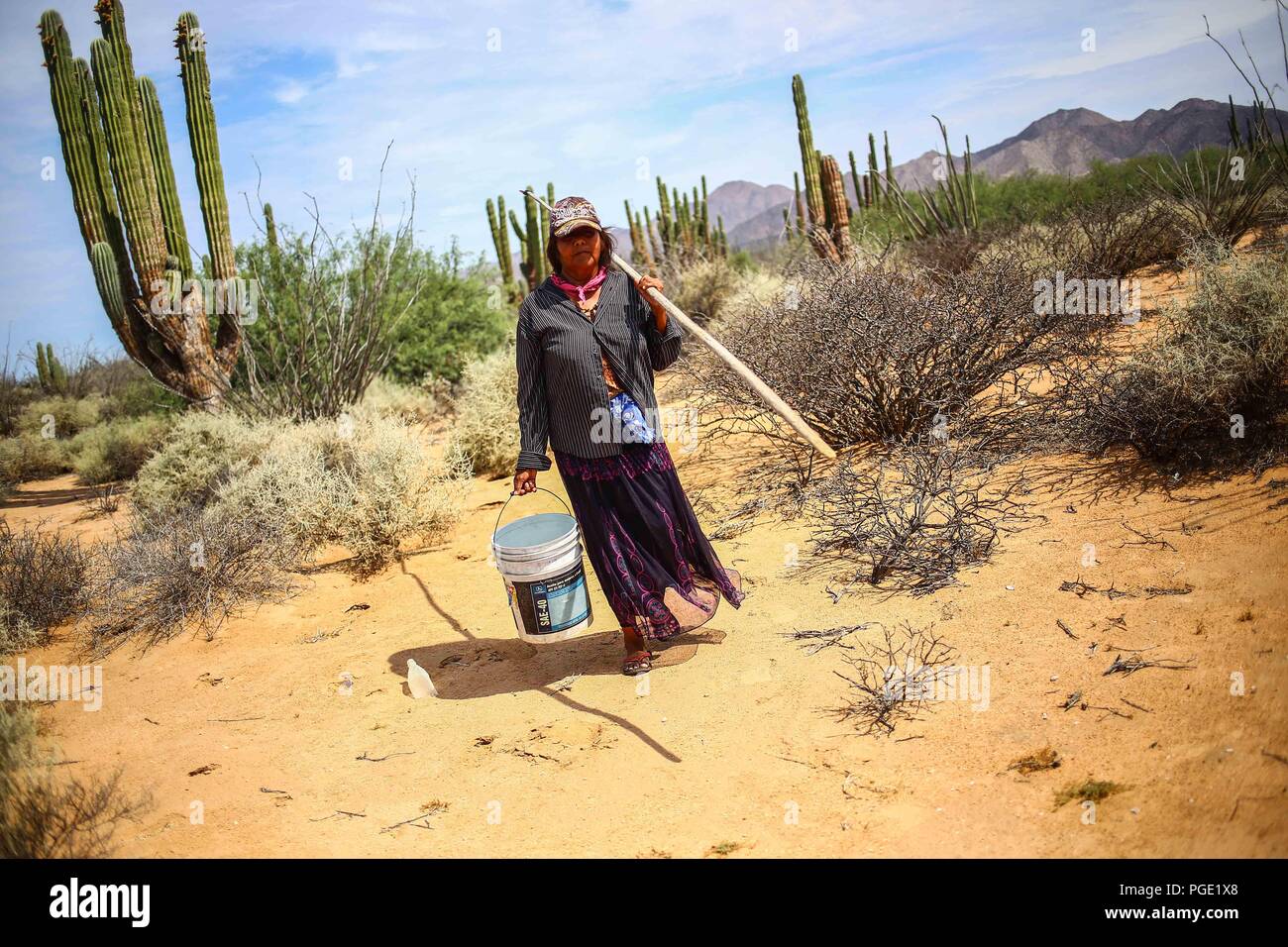 Desierto de india hi-res stock photography and images - Alamy