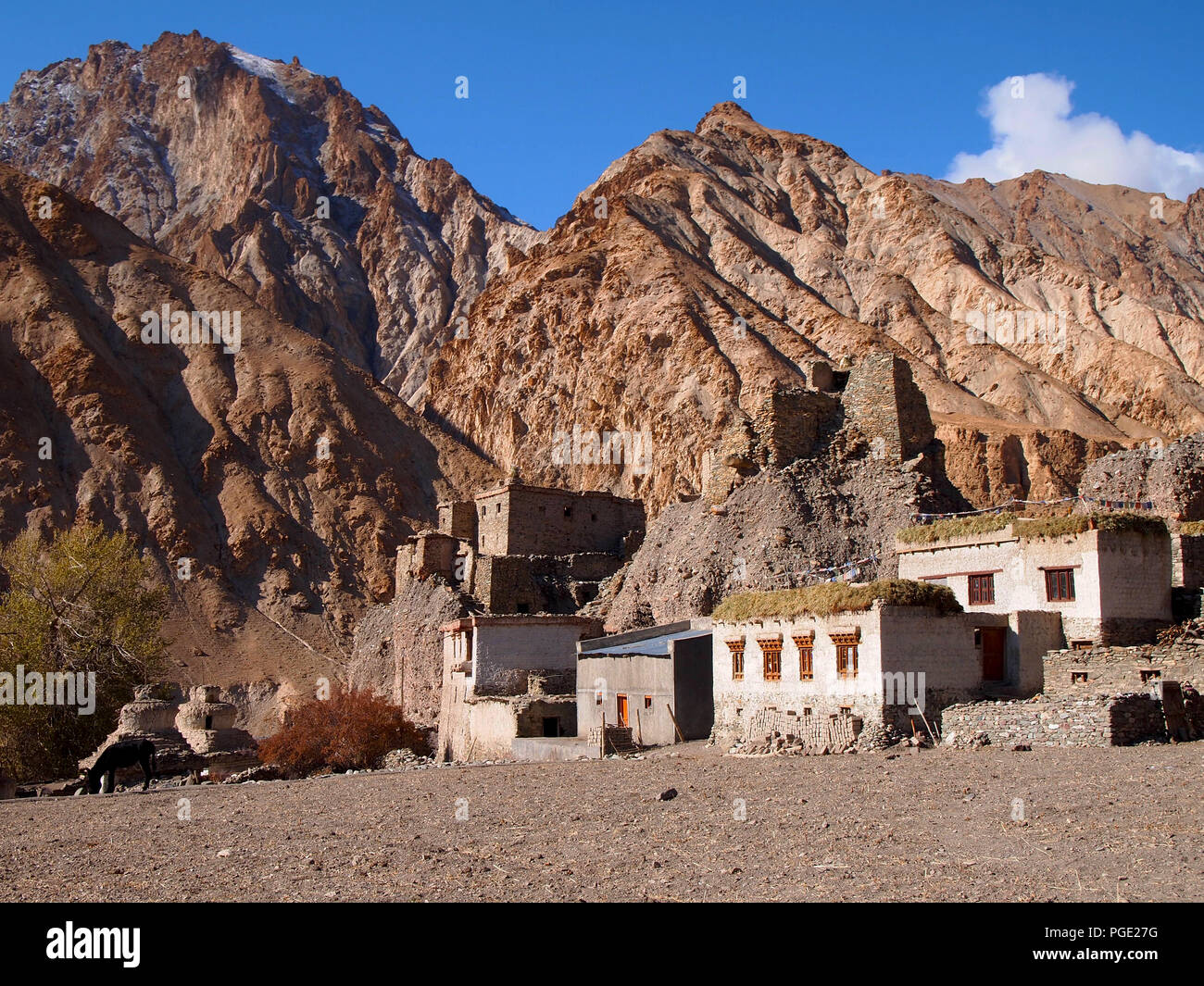 Adobe dwellings in a remote village in Markha valley, Ladakh Stock ...