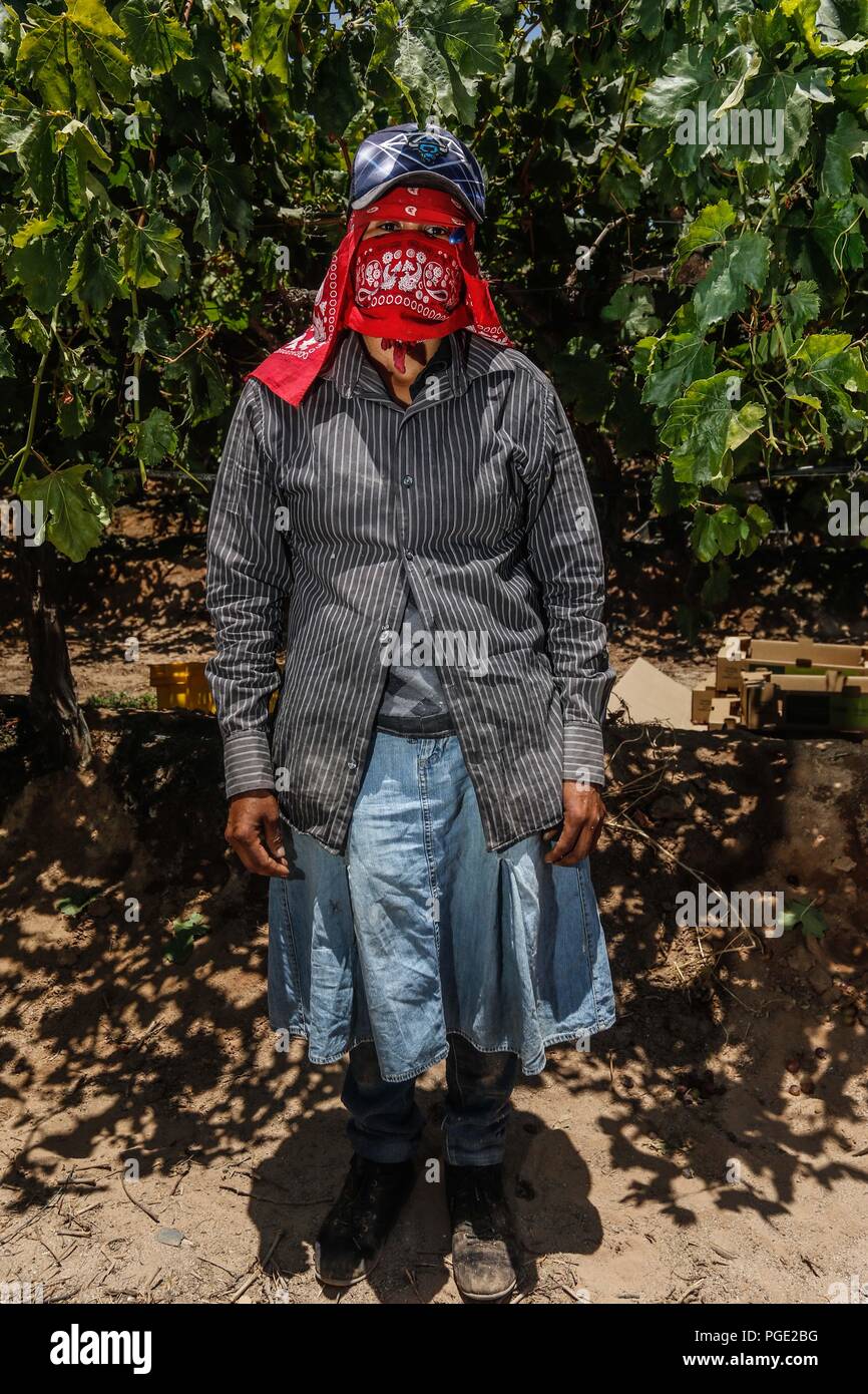 Every year between March to May hundreds of day laborers from various ...