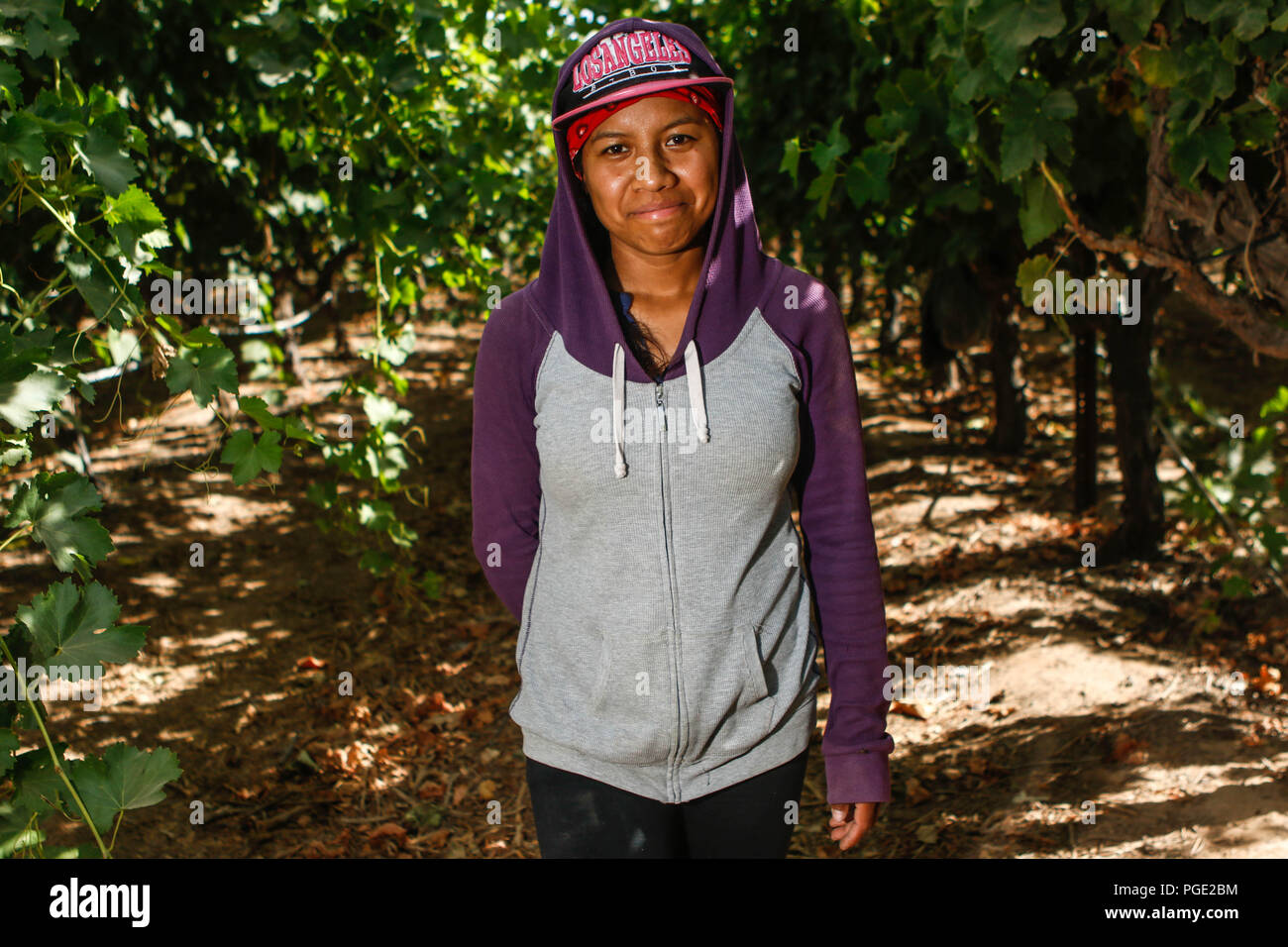 Every year between March to May hundreds of day laborers from various ...
