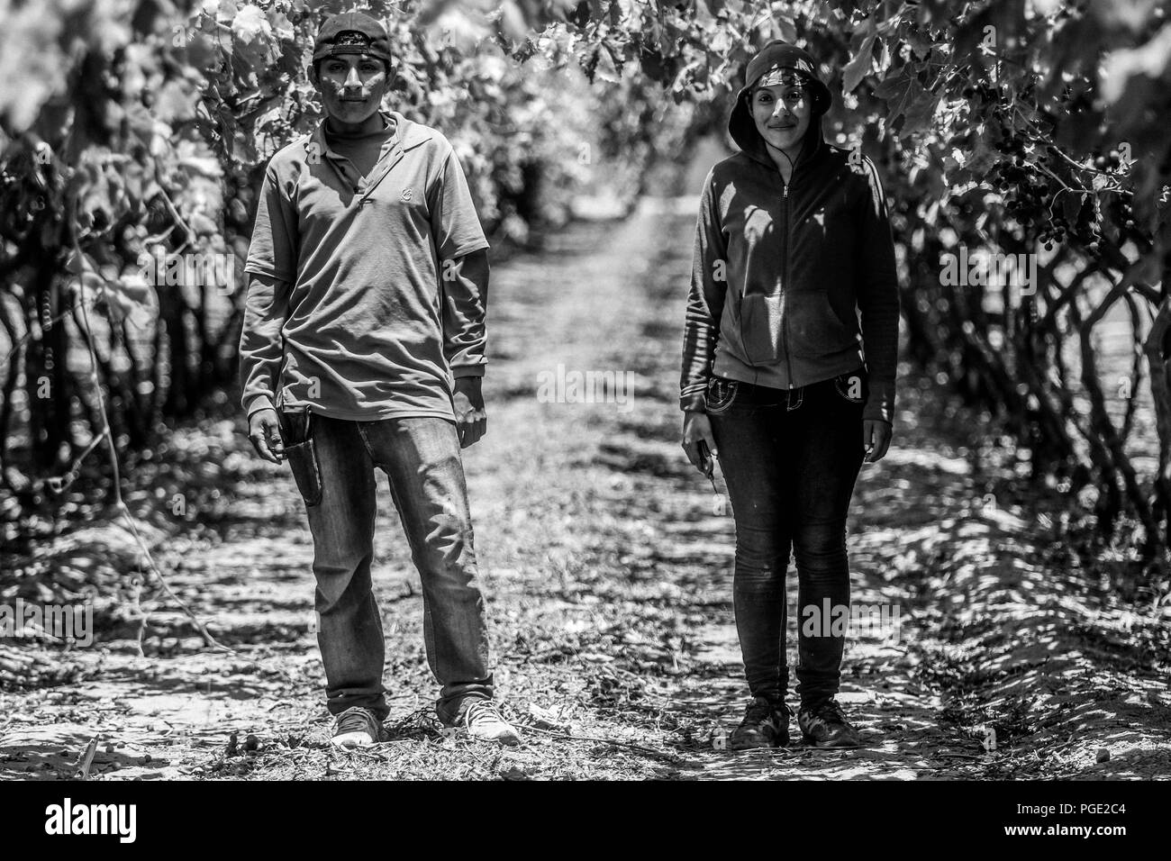 Day Laborer Mexico Stock Photos & Day Laborer Mexico Stock Images - Alamy