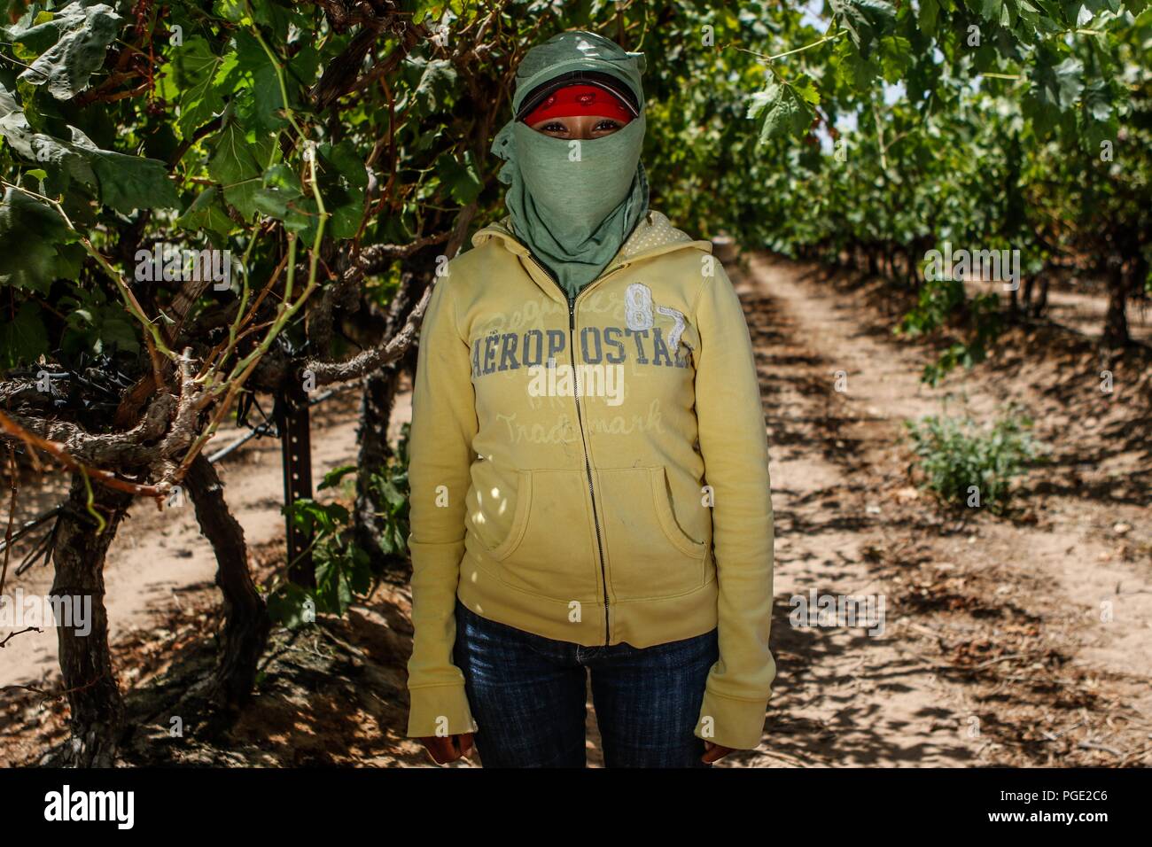 Mexican Laborers Stock Photos & Mexican Laborers Stock Images - Alamy