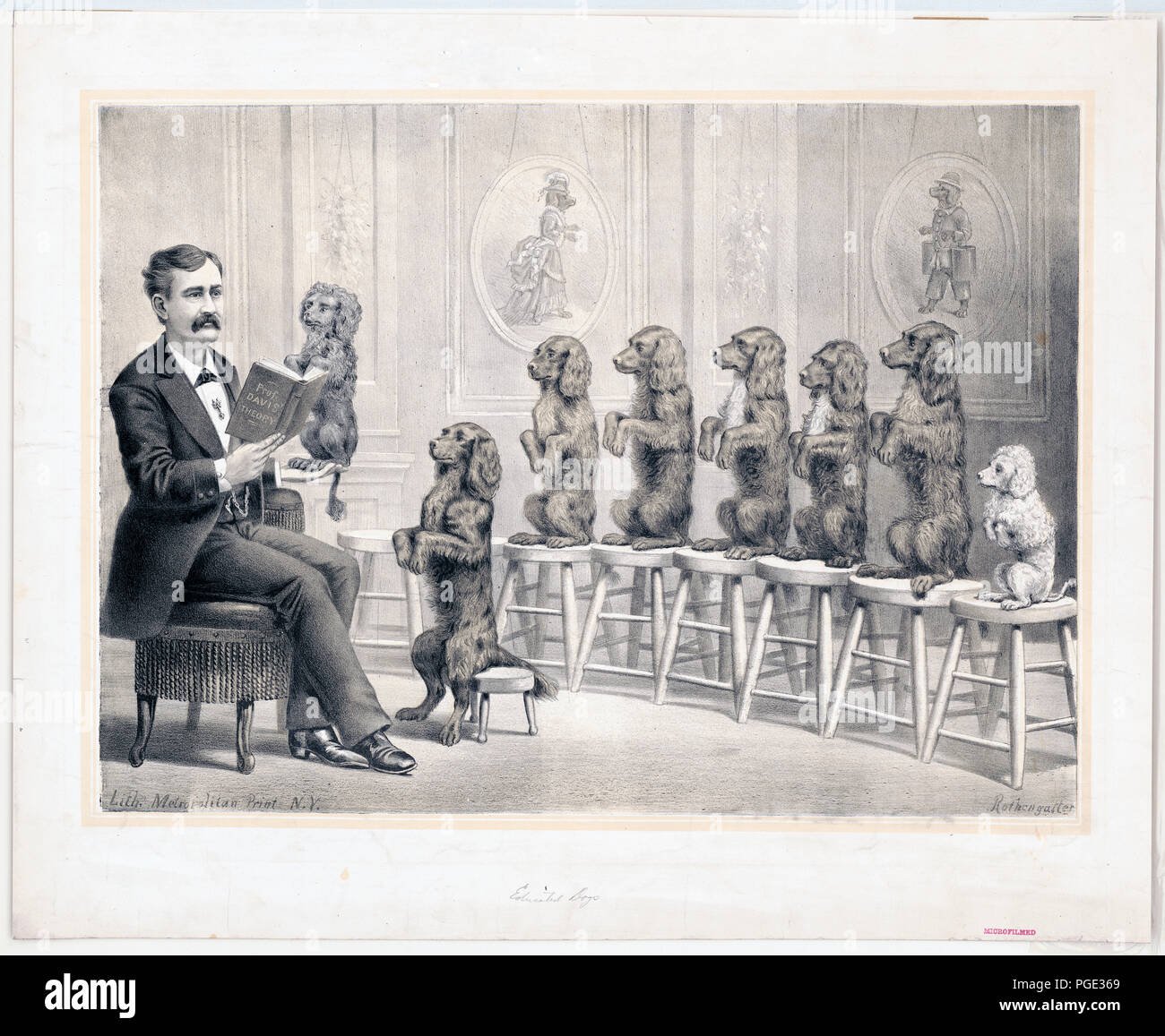 Educated dogs ca 1875 Stock Photo - Alamy