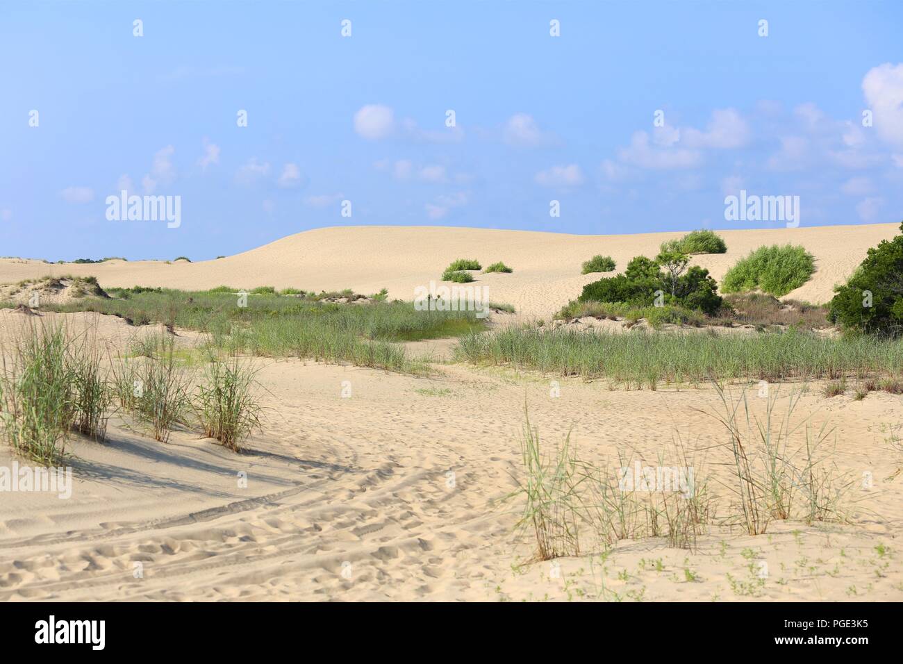 Jockey'S Ridge State Park, Outer Banks, NC Stock Photo - Alamy