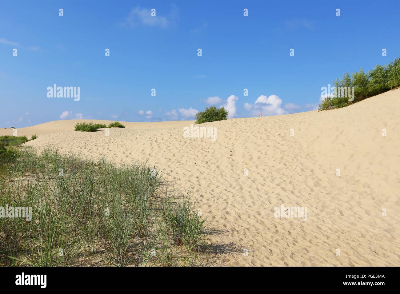 Jockey'S Ridge State Park, Outer Banks, NC Stock Photo - Alamy