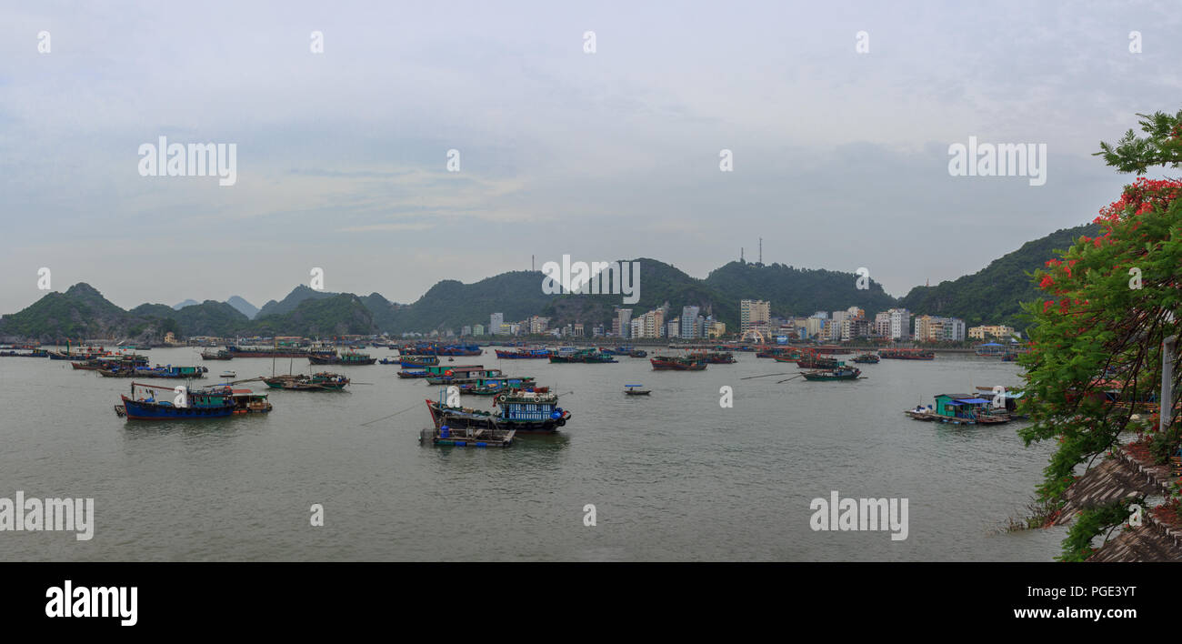Vietnam cat ba hi-res stock photography and images - Alamy