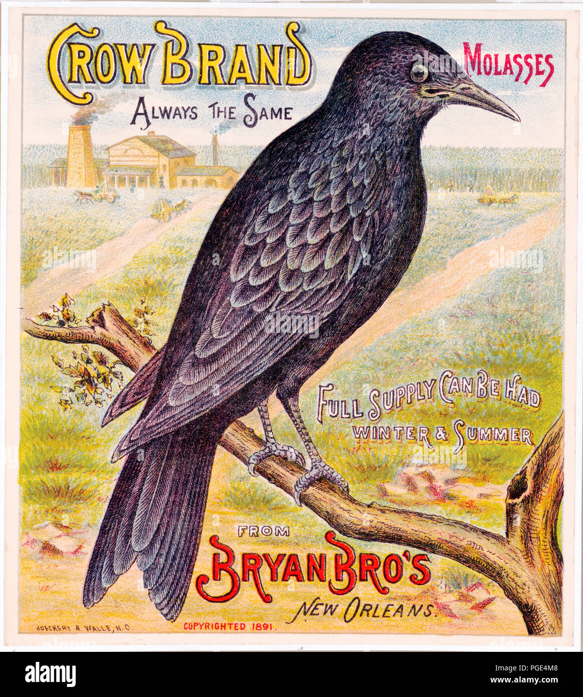 Crow brand molasses. Bryan Bro's New Orleans ca 1891 Stock Photo - Alamy
