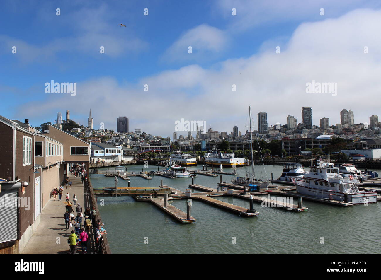 Marina district of san francisco hi-res stock photography and images ...