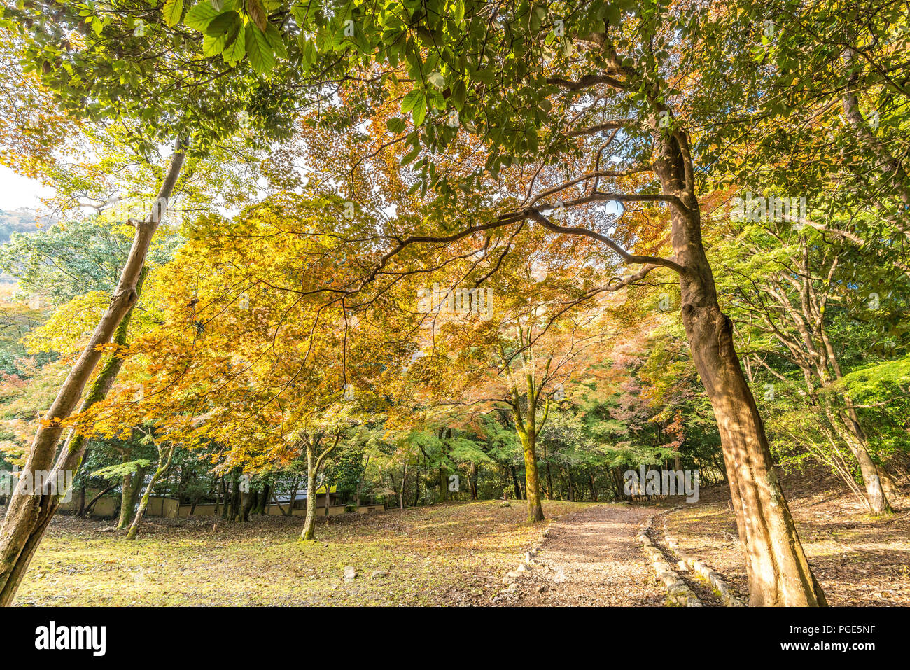 Mount arashi hi-res stock photography and images - Alamy