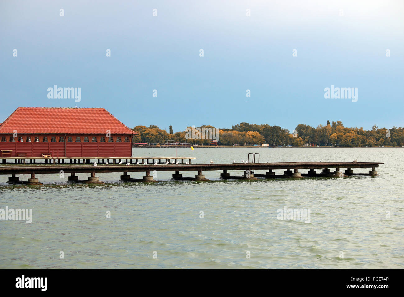 Lake Palic Subotica Serbia landscape autumn season Stock Photo - Alamy