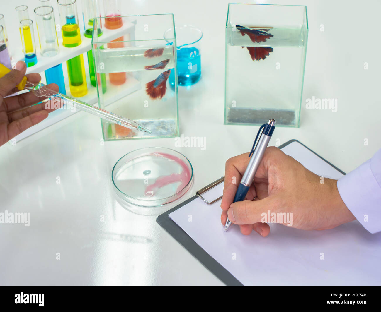 Pressure plate swimming hi-res stock photography and images - Alamy