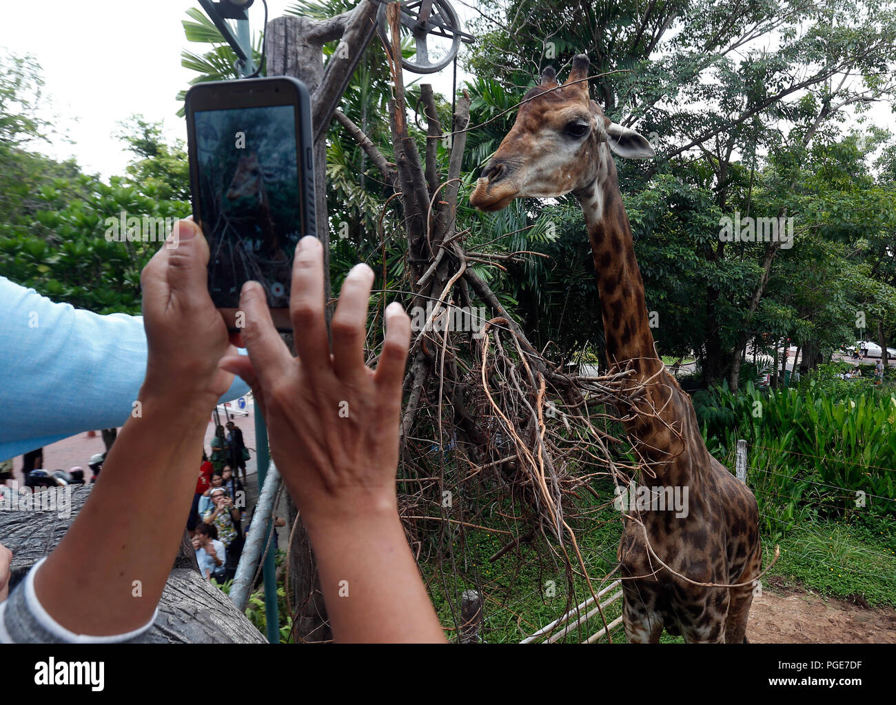 Zoo goers hi-res stock photography and images - Alamy