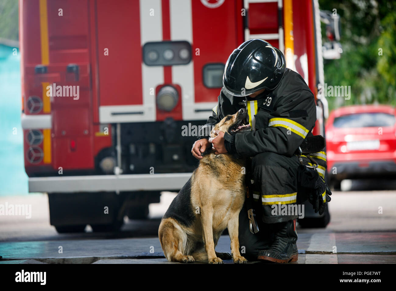 Firefighting Dog High Resolution Stock Photography and Images - Alamy