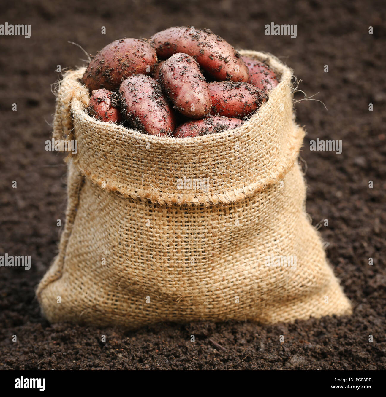 Red potatoes sack hi-res stock photography and images - Alamy