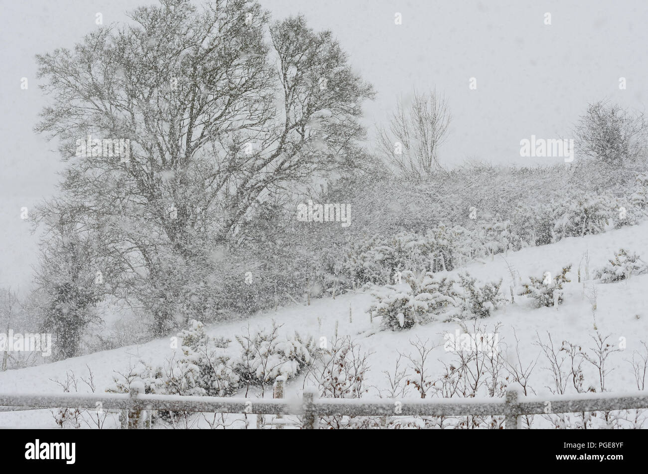 Hillside snow in late winter Stock Photo - Alamy