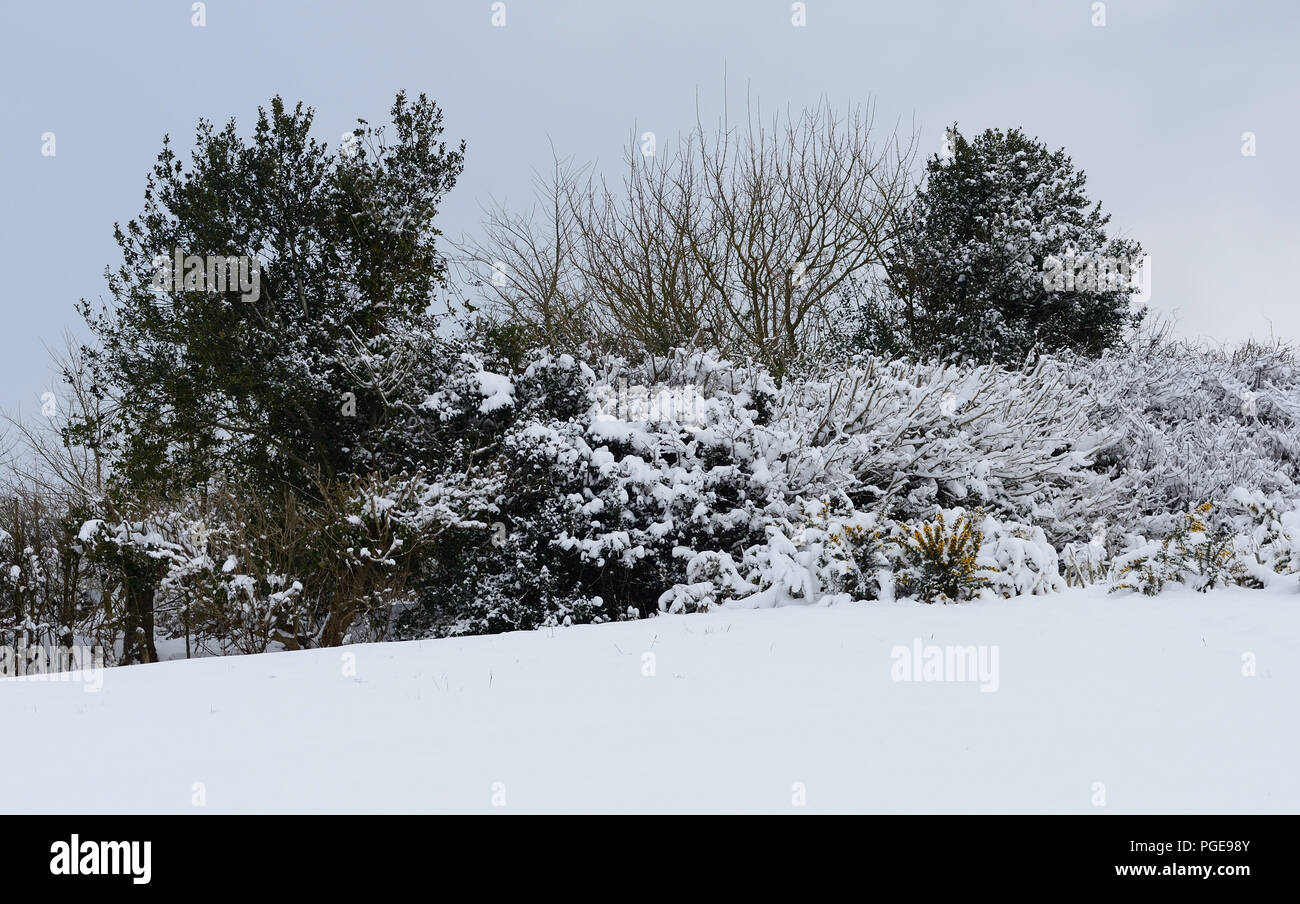 Sloping slope hi-res stock photography and images - Alamy