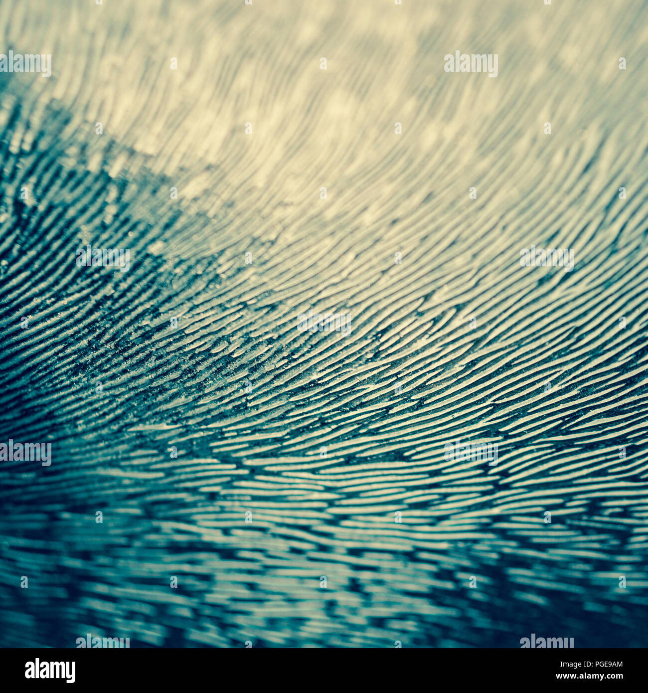 Embossed wallpaper texture hi-res stock photography and images - Alamy