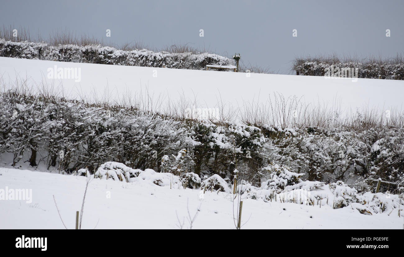 Hillside snow in late winter Stock Photo - Alamy