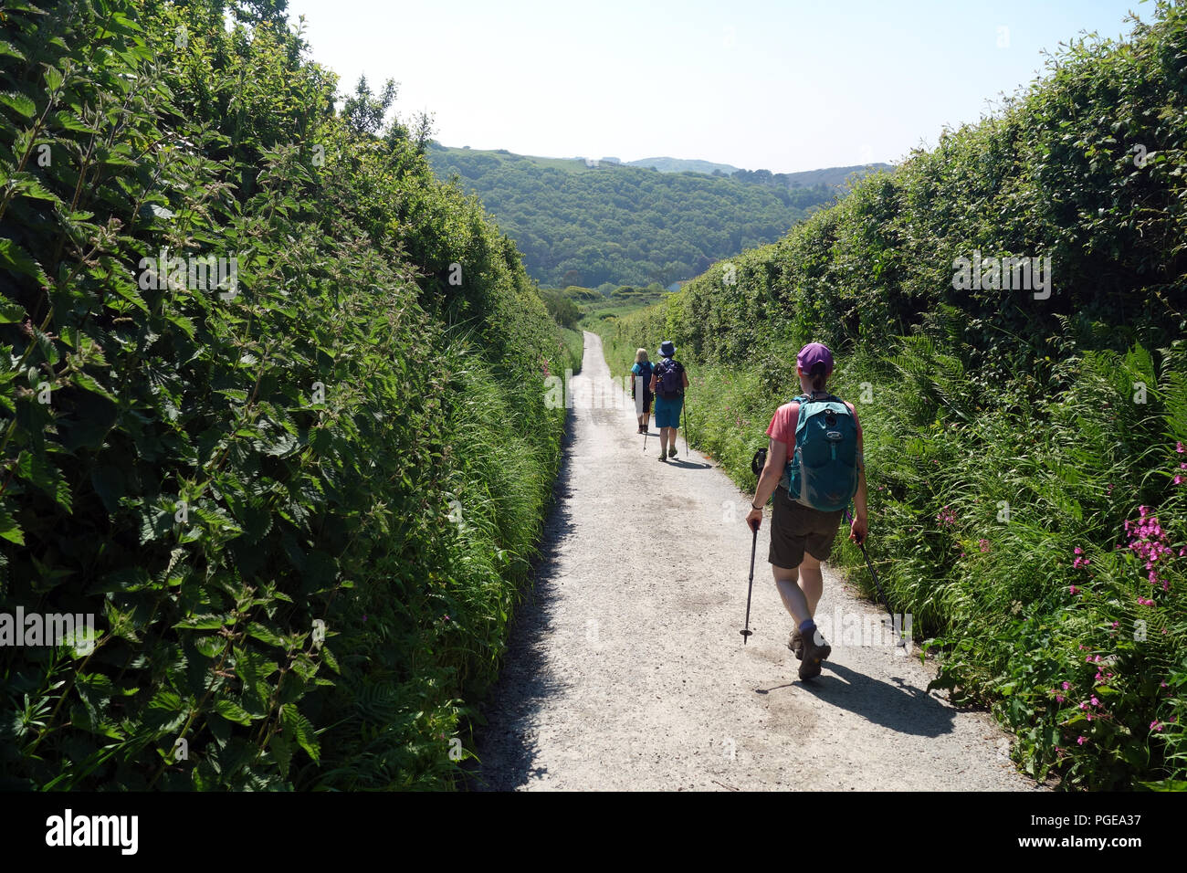 Three Women Walking Down Narrow Country Lane to Lee Bay on the South ...