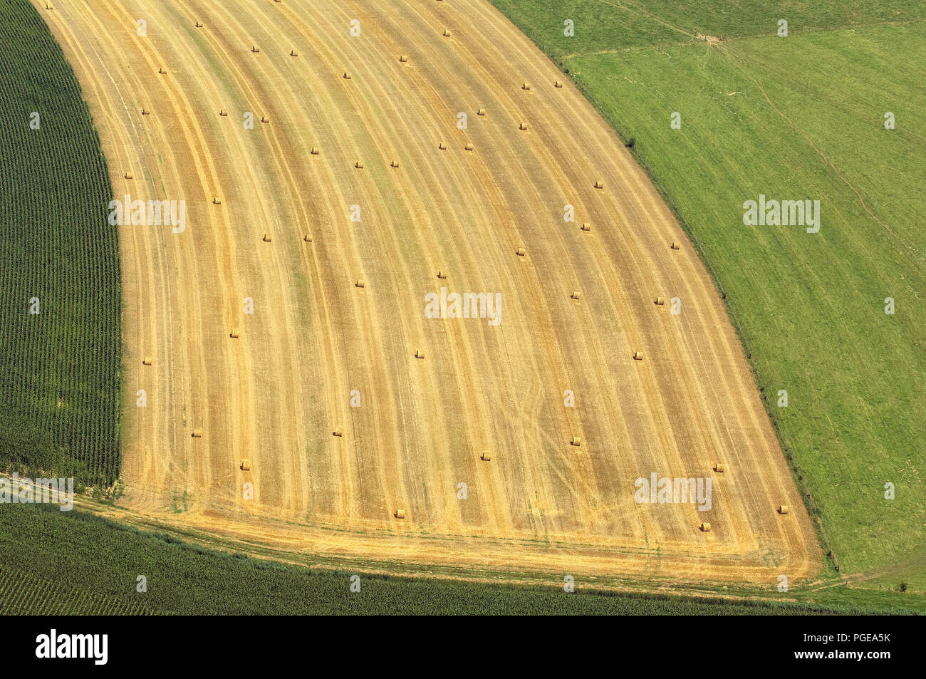 Harvestime hi-res stock photography and images - Alamy