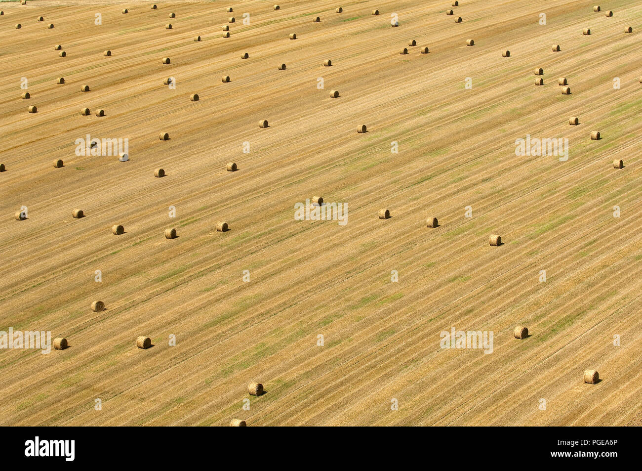 Harvestime hi-res stock photography and images - Alamy