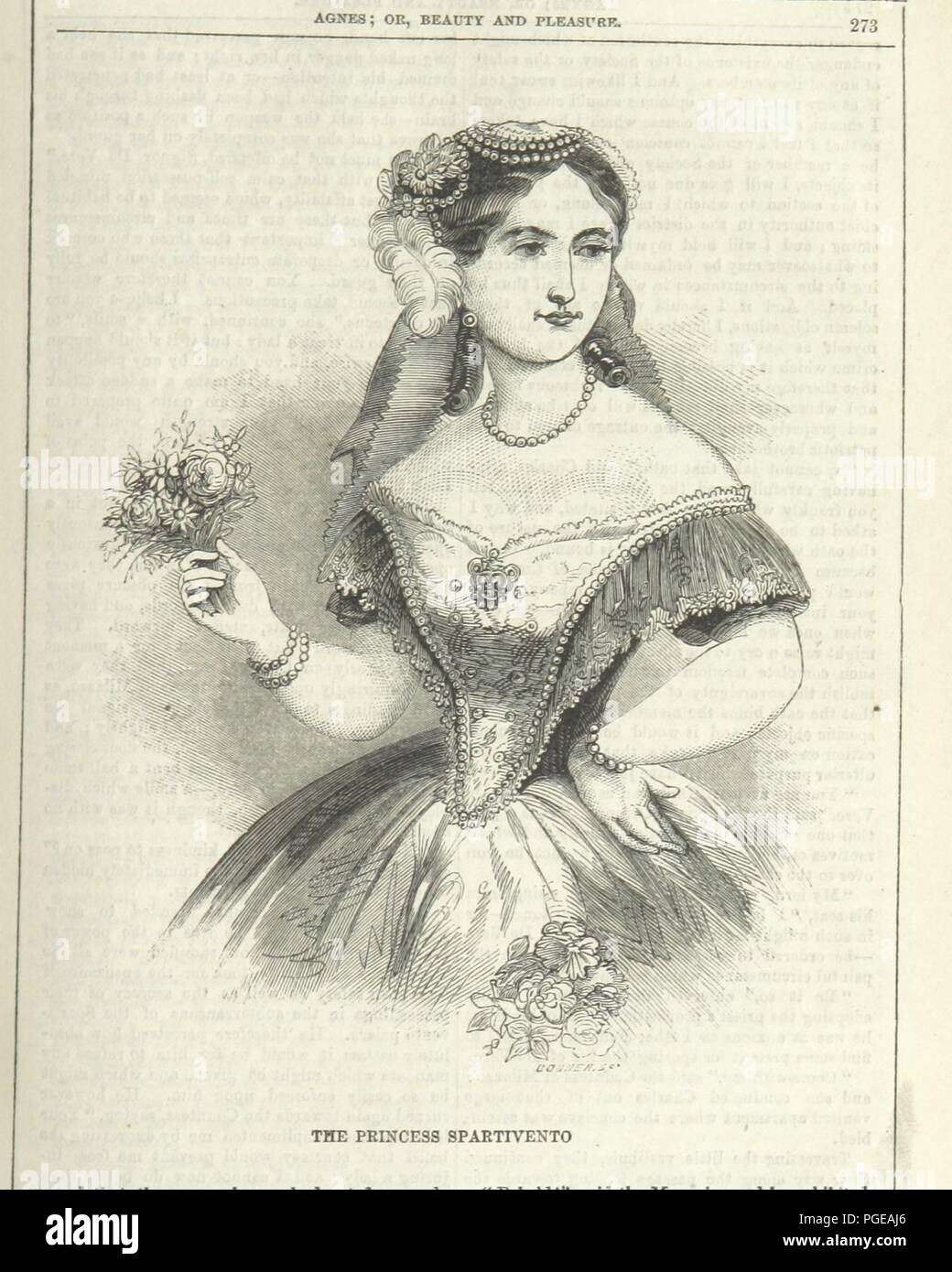 Image from page 285 of 'Agnes; or Beauty and Pleasure' Stock Photo - Alamy