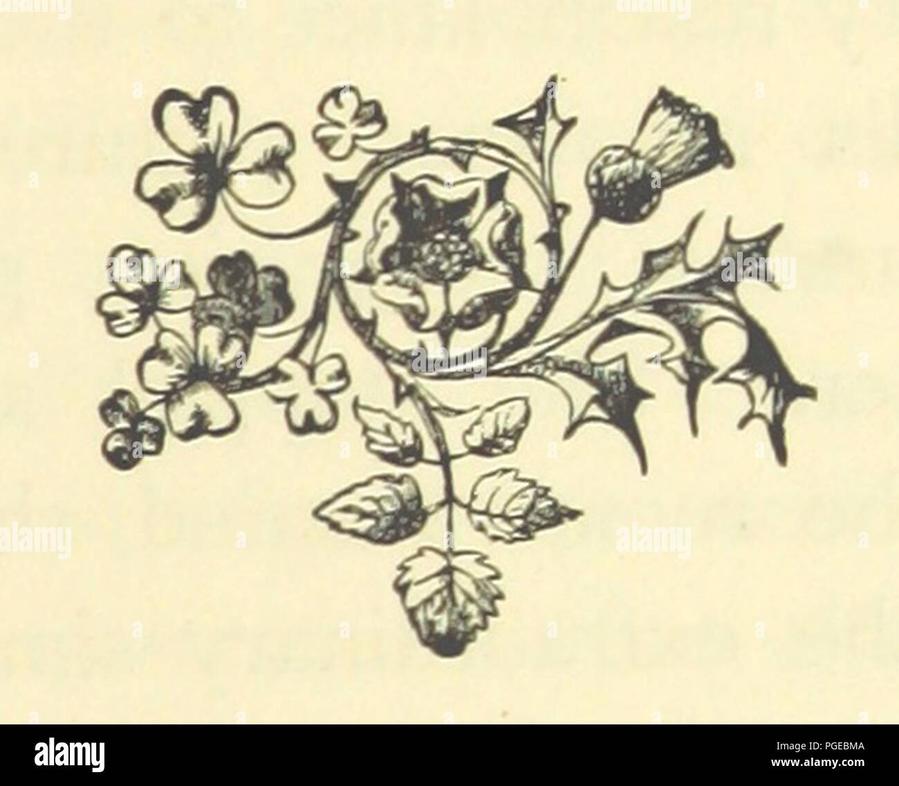 Miss finch hi-res stock photography and images - Alamy