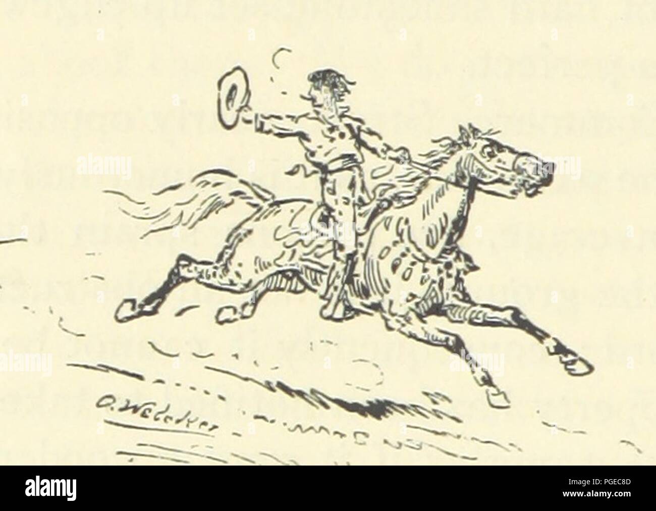 Image from page 330 of 'On a Mexican Mustang through Texas ... With ...