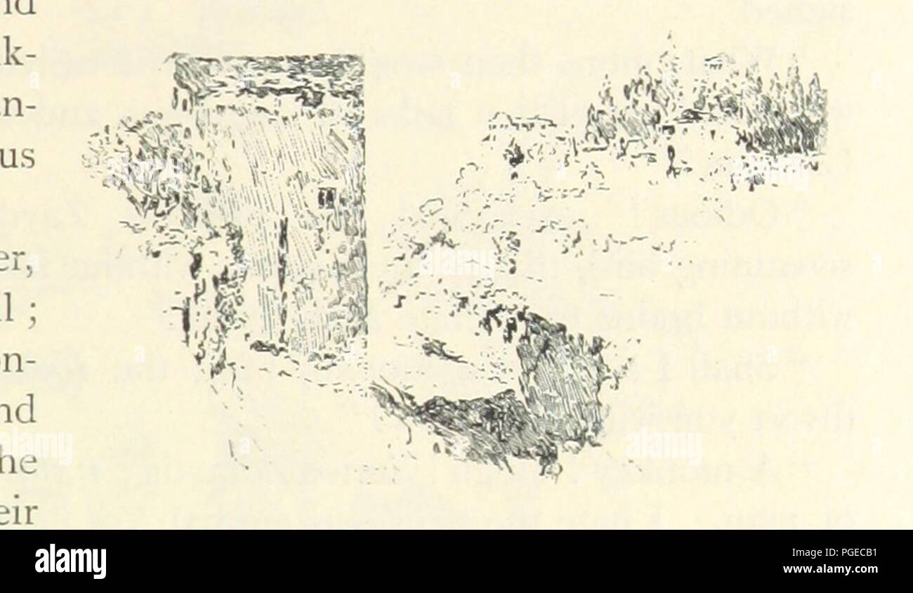 Image from page 333 of 'The Alhambra ... With an introduction by E. R ...