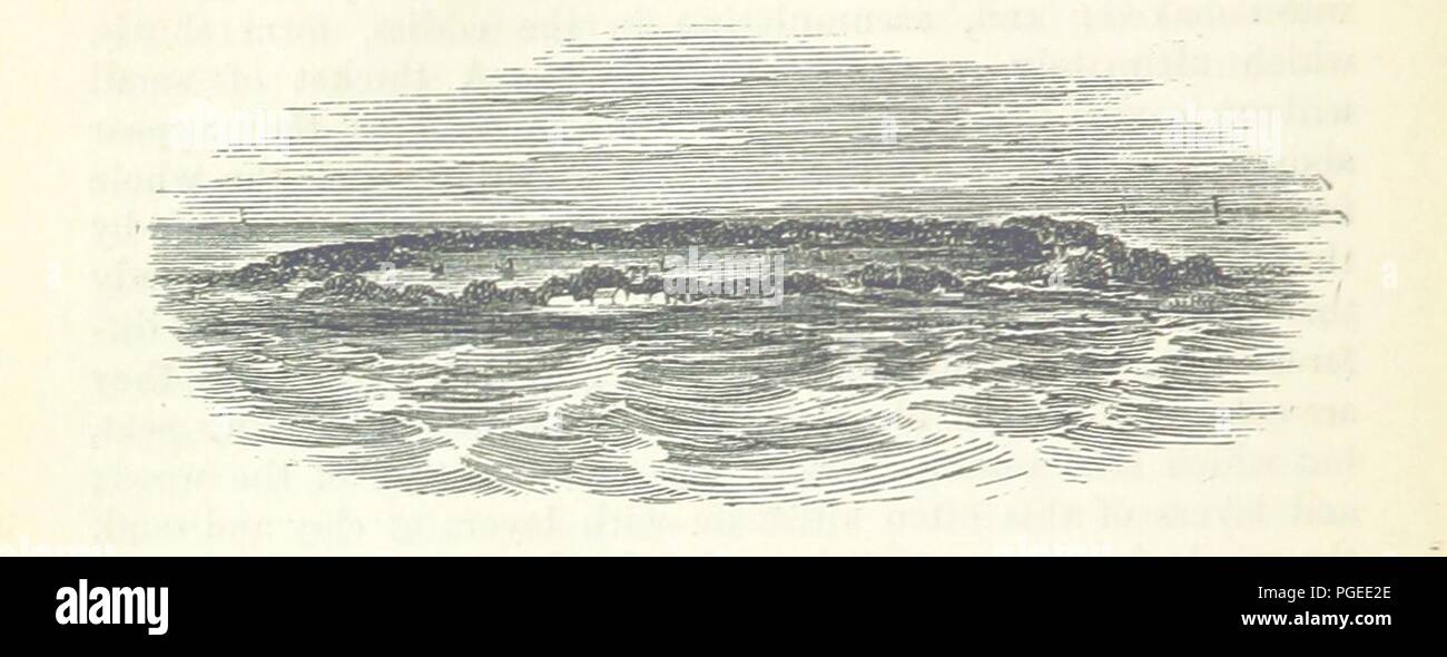 Image from page 390 of '[Advanced Text-book of Geology ... Second ...