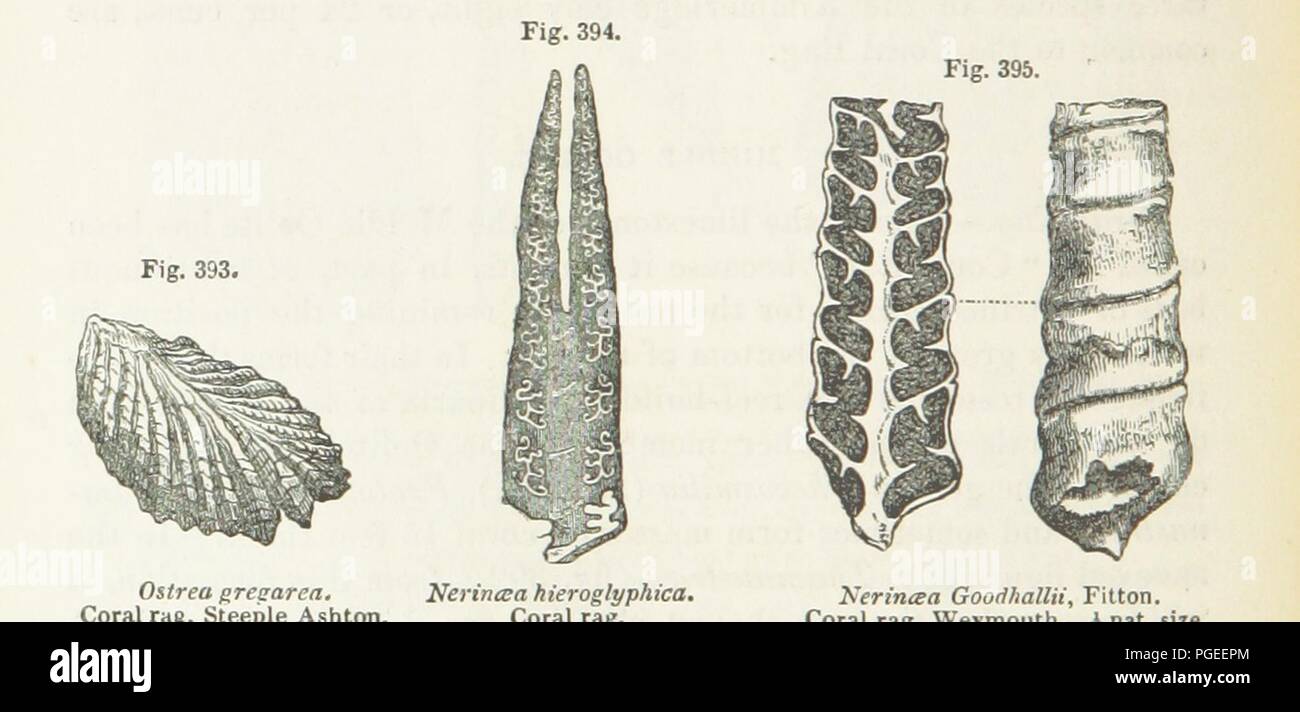 Image from page 420 of 'Elements of Geology ... Sixth edition, greatly ...