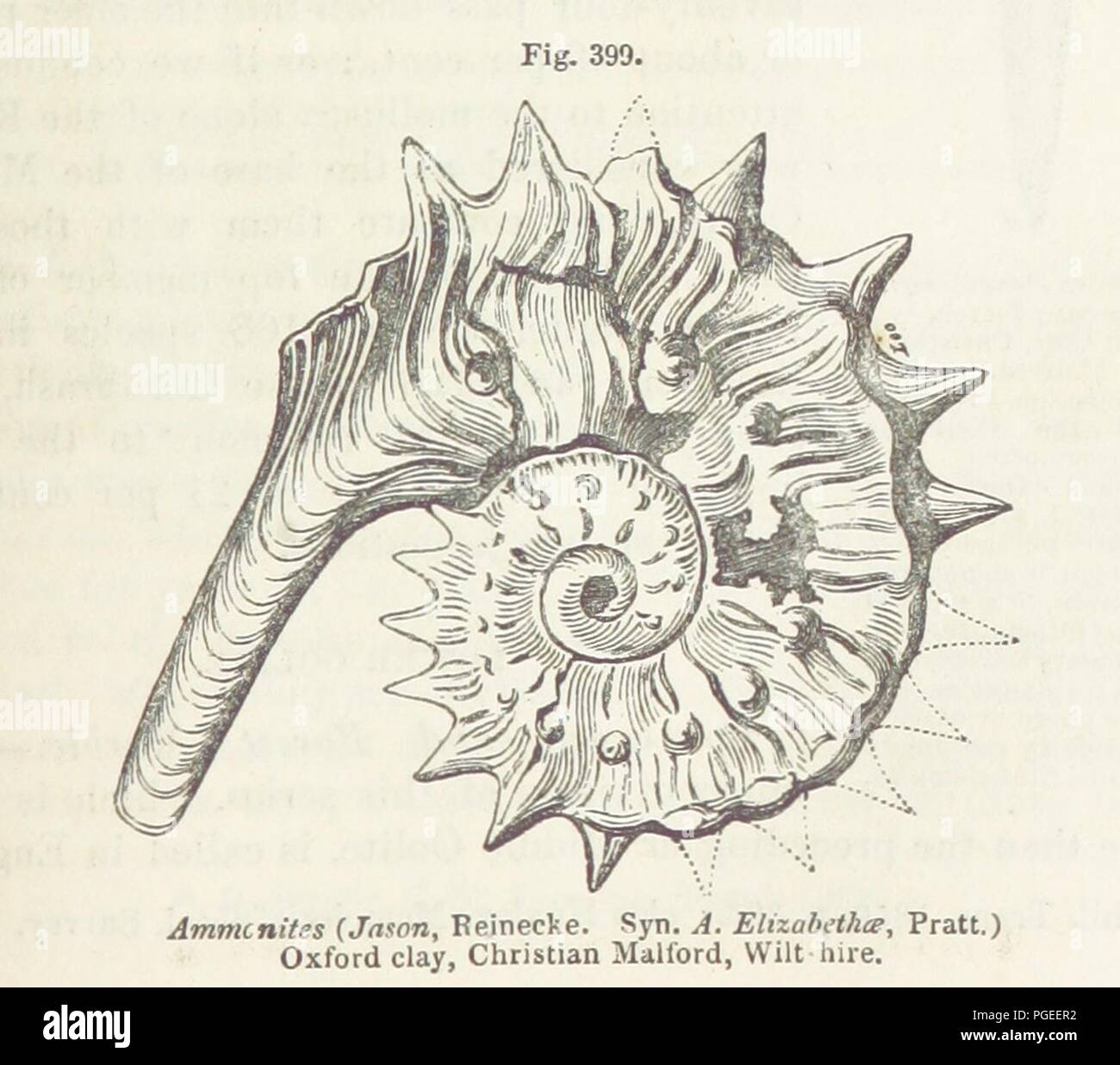 Image from page 421 of 'Elements of Geology ... Sixth edition, greatly ...