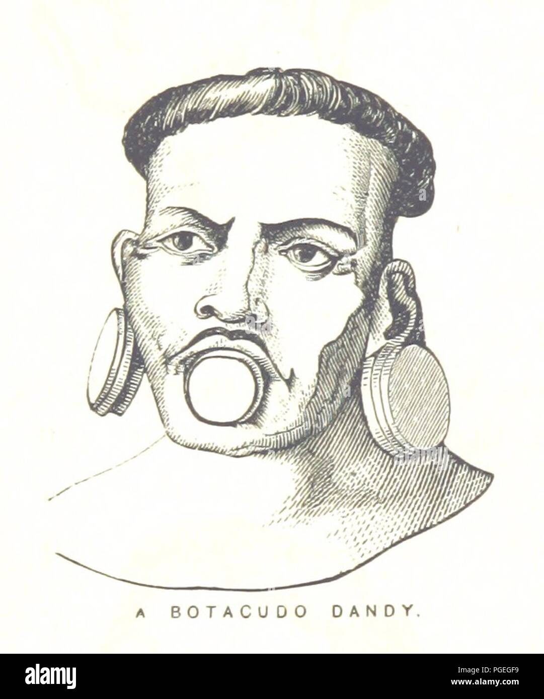 Image from page 518 of '[Brazil and the Brazilians ... in historical ...