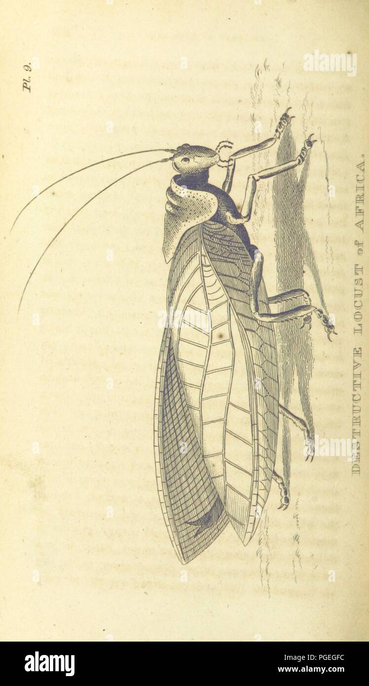 Image from page 518 of 'An Authentic Narrative of the loss of the ...