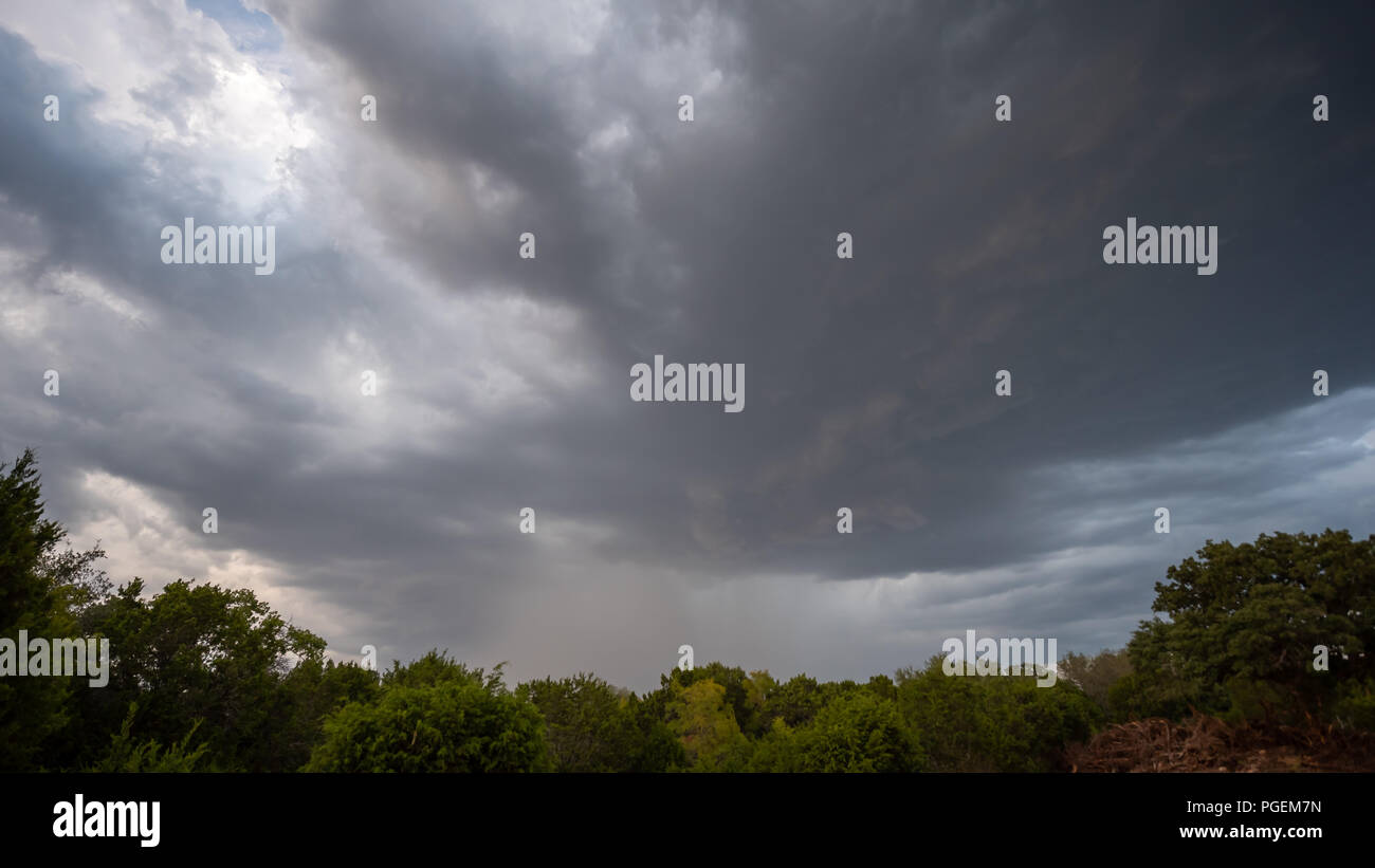 Large Storm Clouds Over Green Cedar Tress in Texas Stock Photo - Alamy
