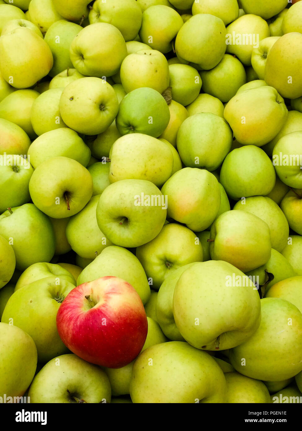 Green And Red And Yellow Apples