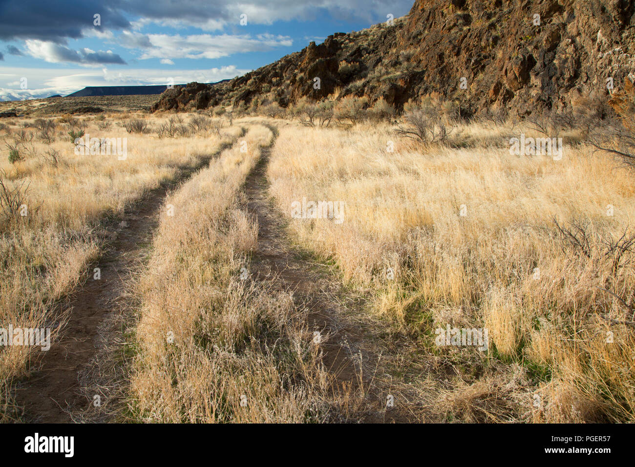 Kinney camp road hi-res stock photography and images - Alamy