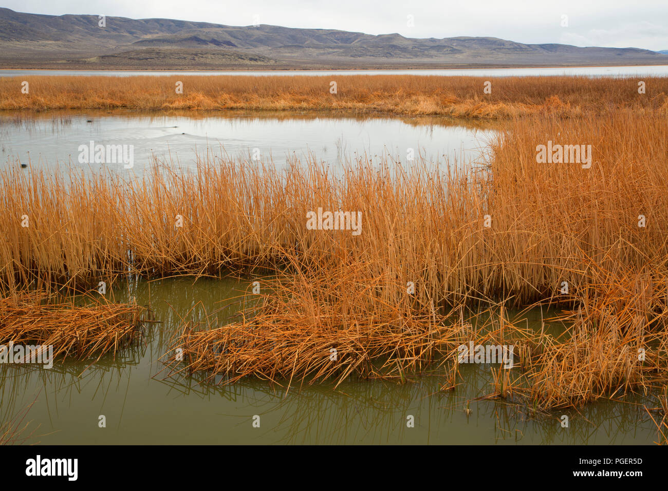 Stillwater point reservoir hi-res stock photography and images - Alamy