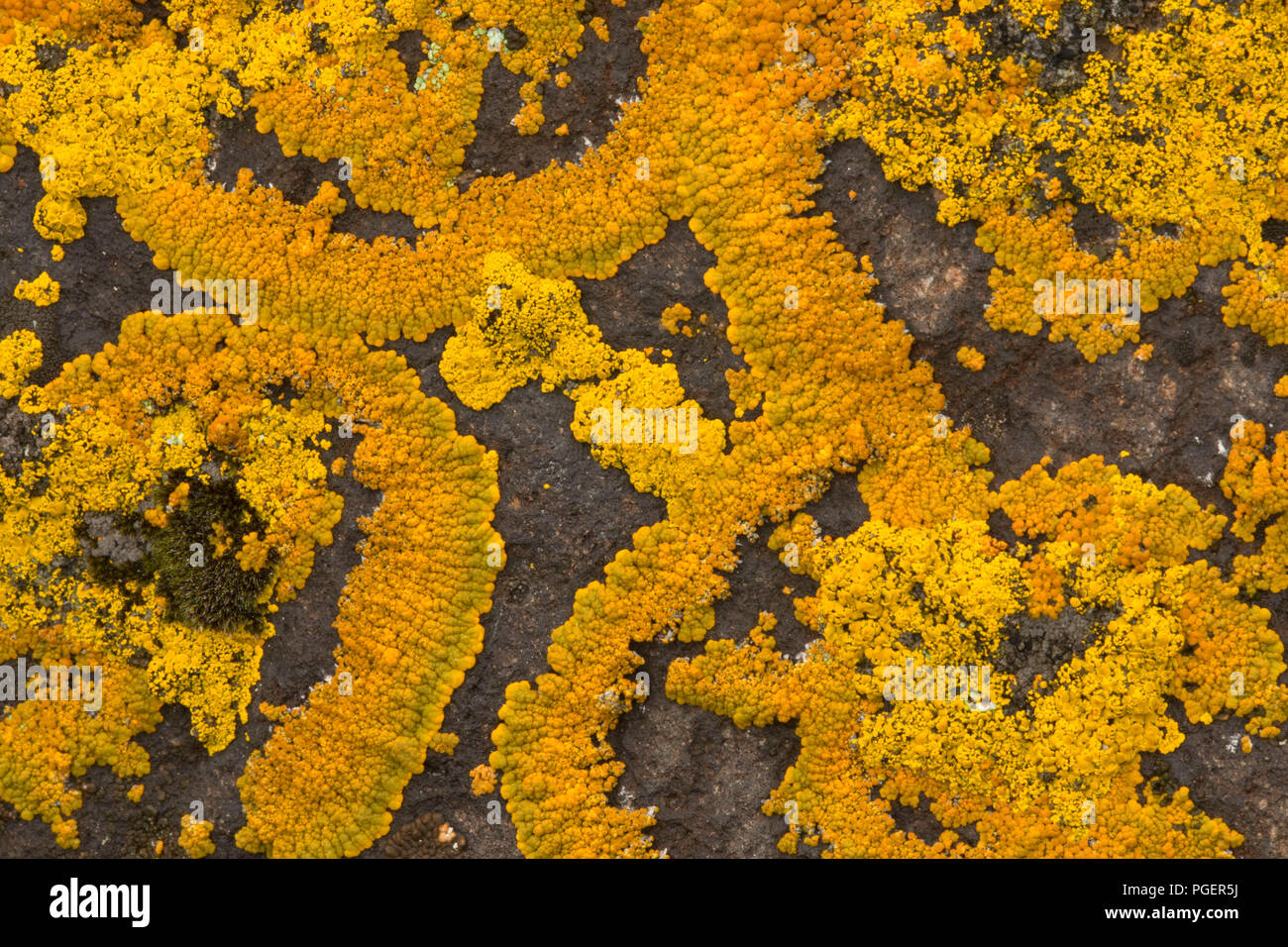 Cave and basin national historic site hi-res stock photography and ...