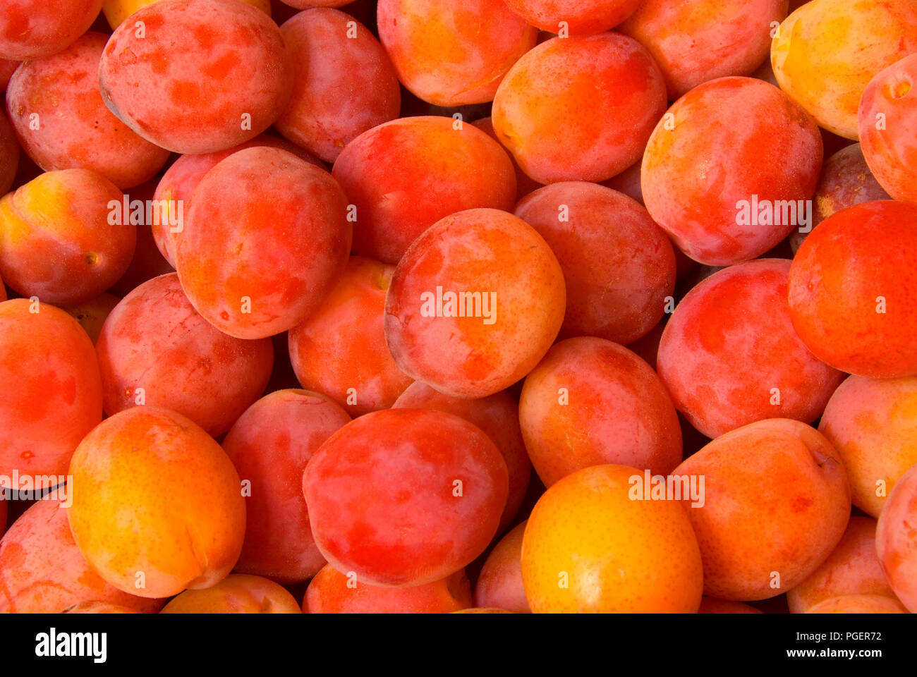Laxton hi-res stock photography and images - Alamy