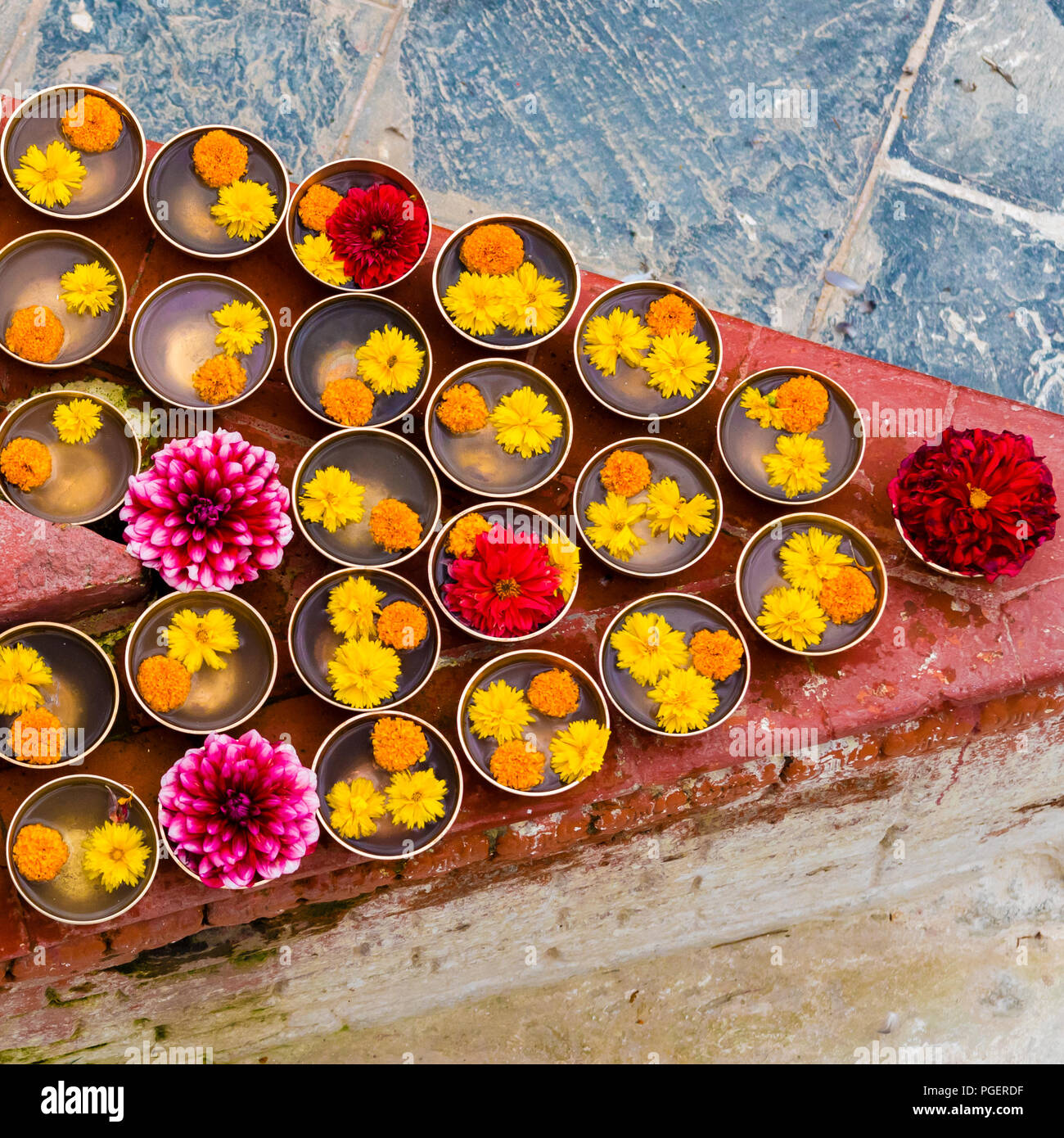 Buddhist flower offerings hi-res stock photography and images - Alamy