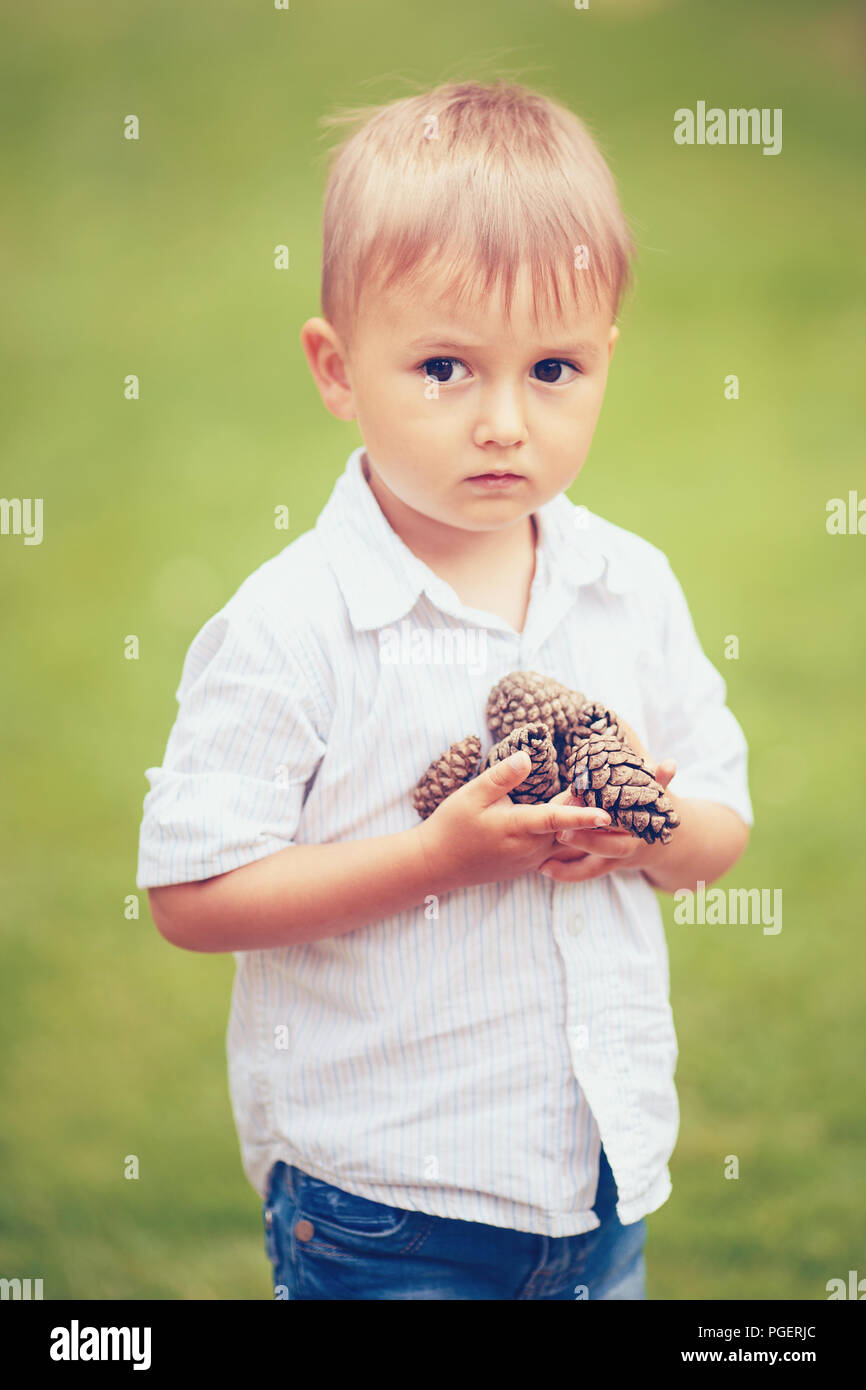 Portrait of cute adorable little boy holding a bunch of pine cones on ...