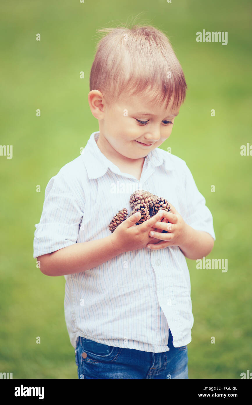 Portrait of cute adorable little boy holding a bunch of pine cones on ...