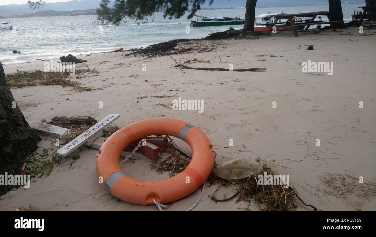 Natural disaster damage destroy every living Stock Photo - Alamy