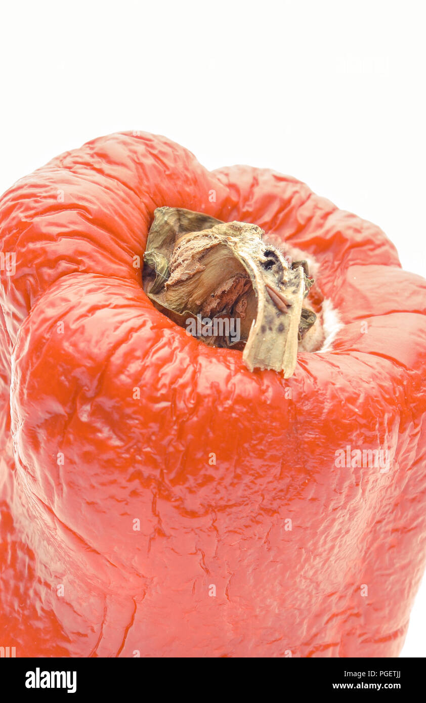 Old wrinkled peppers with mold on white background, unhealthy food ...