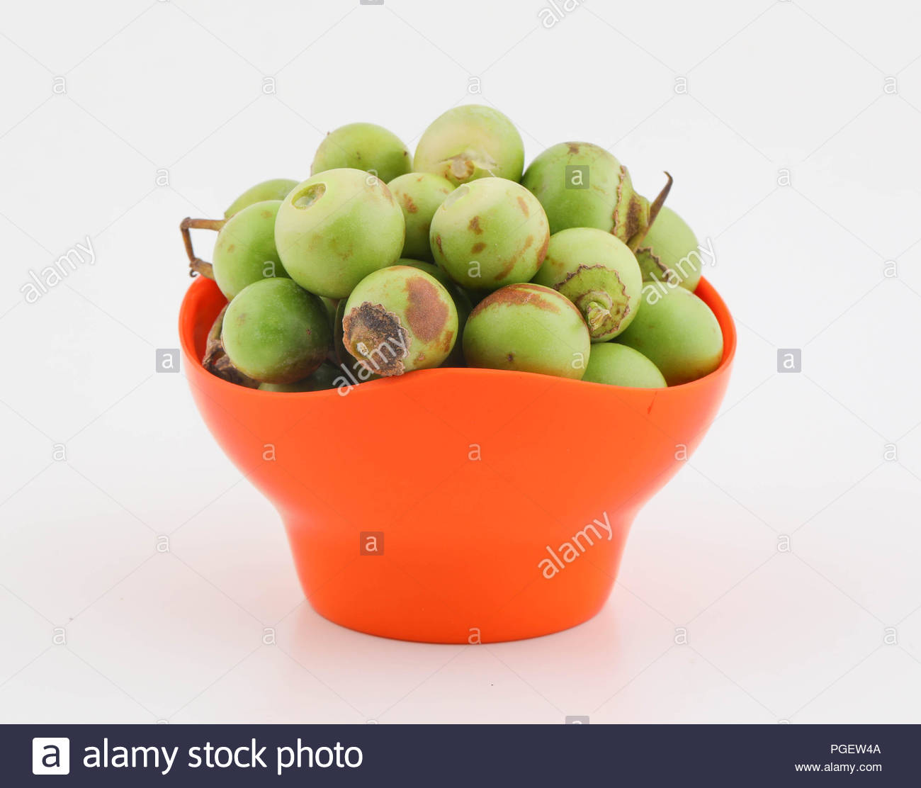 Cordia Myxa High Resolution Stock Photography and Images - Alamy